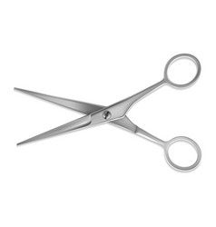 Metal scissors Royalty Free Vector Image - VectorStock