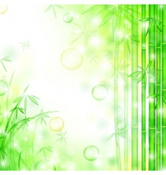 Green bamboo frame on leaves Royalty Free Vector Image
