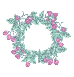 Raspberry frame Royalty Free Vector Image - VectorStock