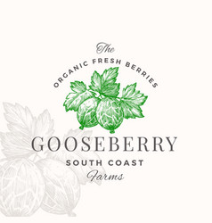 Gooseberry still life Royalty Free Vector Image