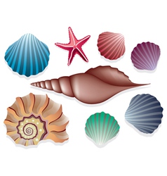 Ocean cockleshells cartoon sea shells Royalty Free Vector