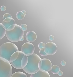 Bubbles isolated on white Royalty Free Vector Image