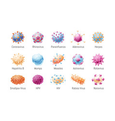 Set common viruses models pathogens Royalty Free Vector
