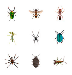 Praying mantis cartoon Royalty Free Vector Image