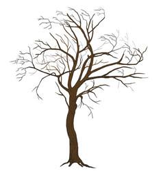 Gnarled tree at night Royalty Free Vector Image