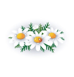 Garden flower Royalty Free Vector Image - VectorStock