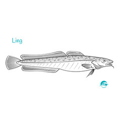 Cod fish hand-drawn Royalty Free Vector Image - VectorStock