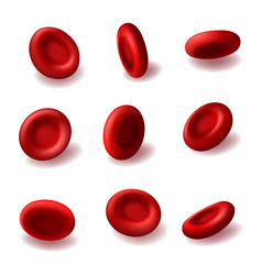 Scientific medical blood flow Royalty Free Vector Image