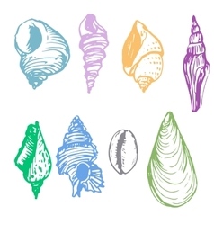 Ocean cockleshells cartoon sea shells Royalty Free Vector