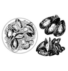 Watercolor hand drawn fresh mussels isolated Vector Image
