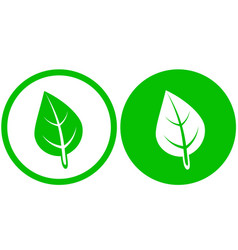 Green leaf icons set Royalty Free Vector Image