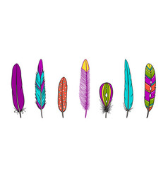 Hand drawn feathers Royalty Free Vector Image - VectorStock
