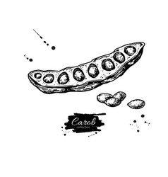 Cocoa frame superfood drawing template Royalty Free Vector