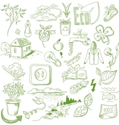 Biological photosynthesis infographic elements Vector Image