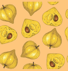Seamless pattern ripe tamarind in cross section Vector Image