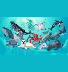 Cartoon sea and ocean life concept Royalty Free Vector Image