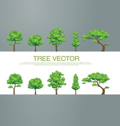 Tree plant in the pot Royalty Free Vector Image