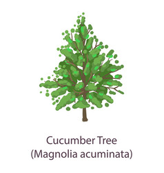 Cucumber tree icon flat style Royalty Free Vector Image