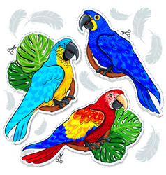 Stiker bright colored parrots palm leaves and Vector Image