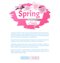 Branch of sakura or cherry blooming flowers Vector Image