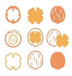Walnut in shell icon Royalty Free Vector Image