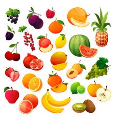 Half fruits apricot cherry strawberries peach Vector Image