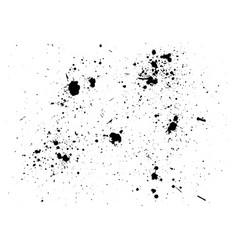 Splash spray abstract patterns Royalty Free Vector Image