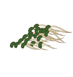 Bean sprouts Royalty Free Vector Image - VectorStock