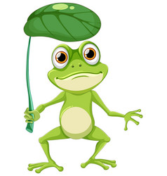 Green frog cartoon character holding leaf umbrella