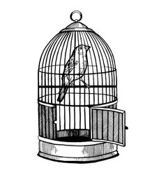 Antique bird cage Royalty Free Vector Image - VectorStock