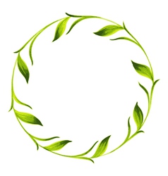 Decorative circle branch of green tea Royalty Free Vector