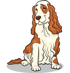 Cocker spaniel dog cartoon Royalty Free Vector Image