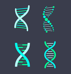 Colorful dna spirals bright Royalty Free Vector Image