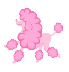 Pink poodle Royalty Free Vector Image - VectorStock