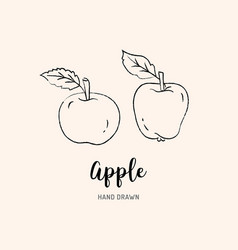 Apple set hand drawing Royalty Free Vector Image