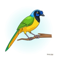 Bird set cartoon colorful Royalty Free Vector Image