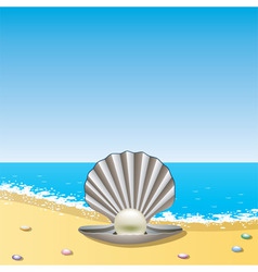 Open and closed shell box with white pearl Vector Image