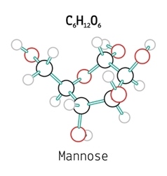 C6h12o6 mannose molecule Royalty Free Vector Image