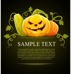 Pumpkin vegetable fruit isolated Royalty Free Vector Image