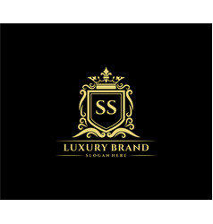 Bp initial letter gold calligraphic feminine Vector Image