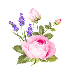 Label with rose flowers Royalty Free Vector Image