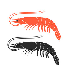 Shrimp Royalty Free Vector Image - VectorStock