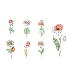 Flowers set in simple minimal Royalty Free Vector Image