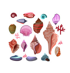 Ocean cockleshells cartoon sea shells Royalty Free Vector
