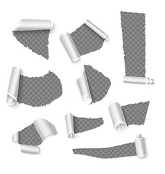 Torn cloth Royalty Free Vector Image - VectorStock