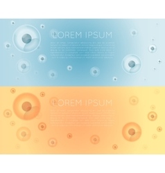Cells banner Royalty Free Vector Image - VectorStock