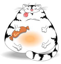 Fat cat Royalty Free Vector Image - VectorStock