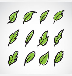 Leaves cmyk Royalty Free Vector Image - VectorStock