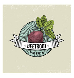 Beet root Royalty Free Vector Image - VectorStock