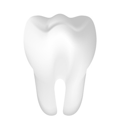 Tooth 3d render Royalty Free Vector Image - VectorStock